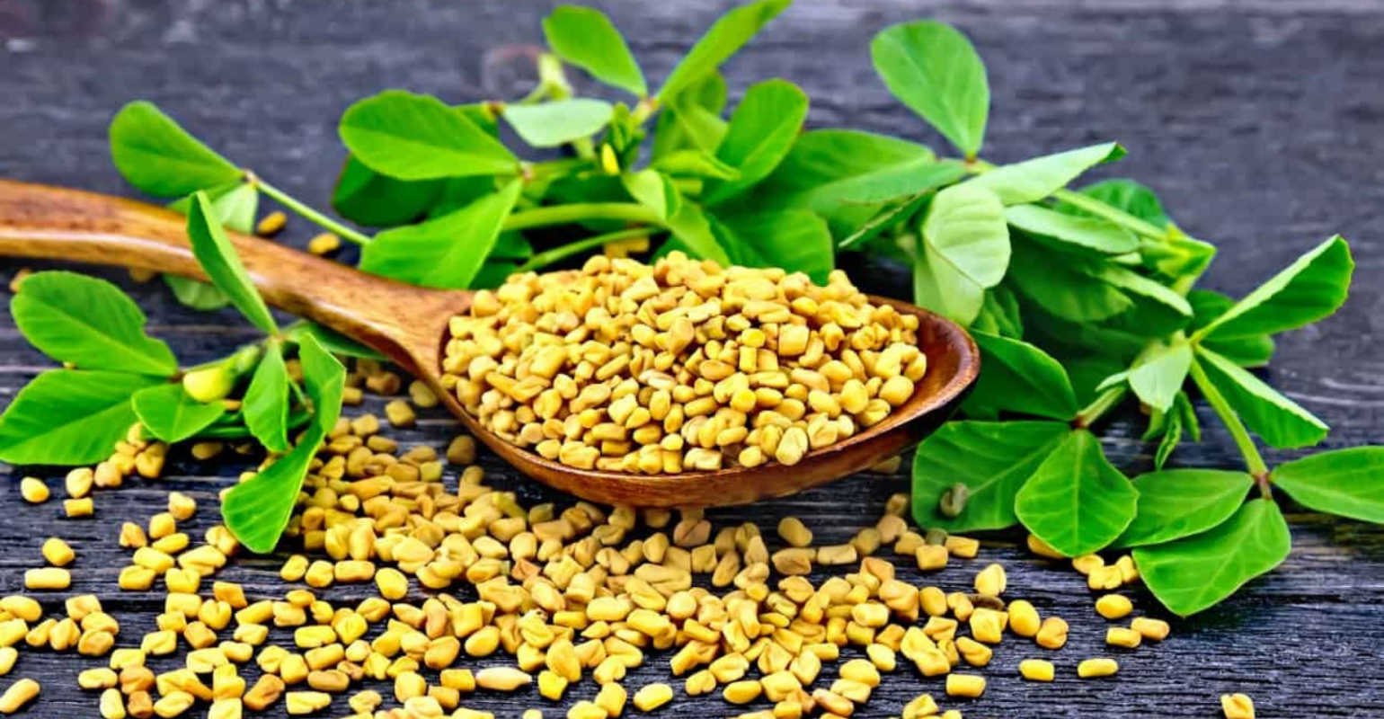 Fenugreek: Nutraceutical properties and therapeutic potential - Primo ...