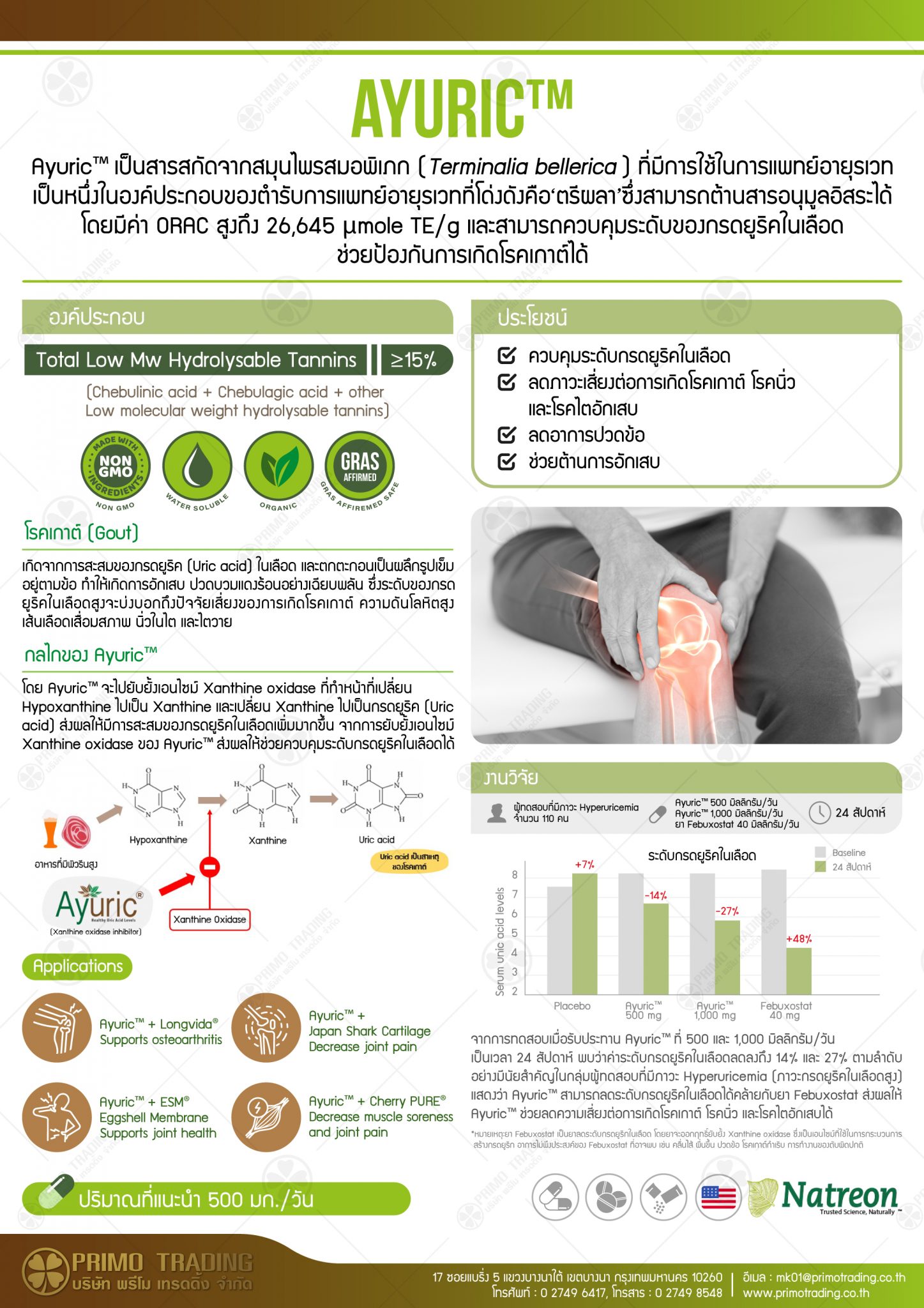 สมอพิเภก (Terminalia bellerica) - Primo Trading Company Limited