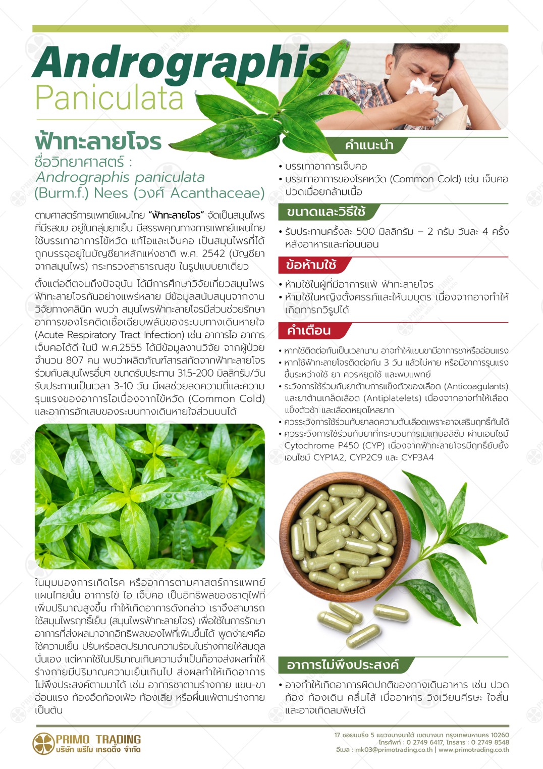 Andrographis paniculata Extract 10% - Primo Trading Company Limited